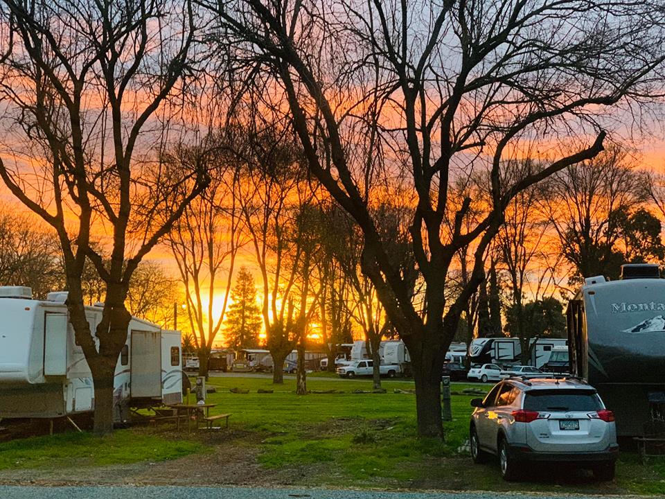 Long Term Stays | Delta Bay